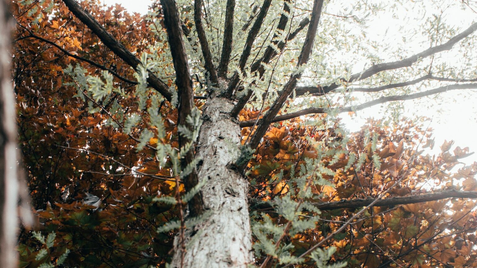 ᐅ Was kann ein Kind mit 2 Jahren besonders gut? im Jahr 2025